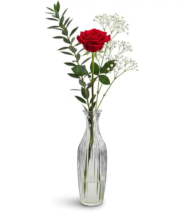 Stunning Red Rose in Bud Vase - Perfect Décor
