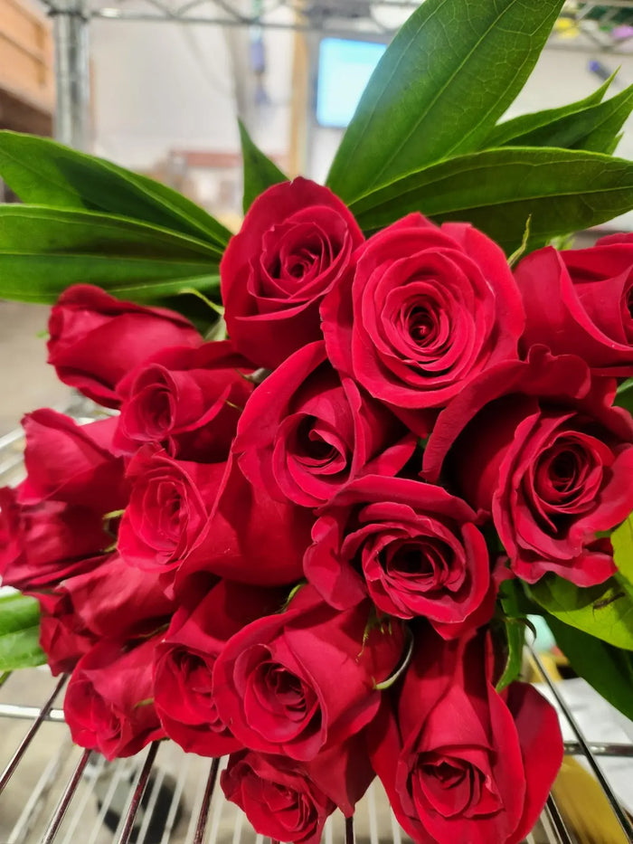 Dozen Roses | 12 Roses | Florist.ca