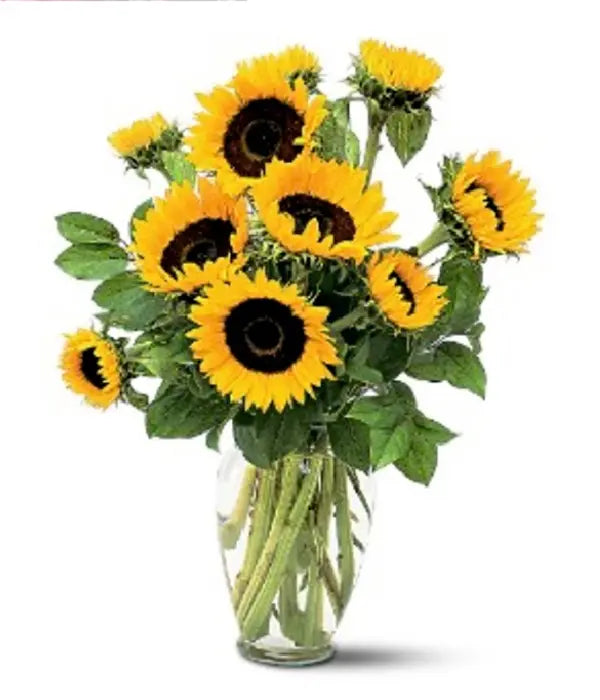 Buy a Sunshine Sunflowers Bouquet Online – florist.ca