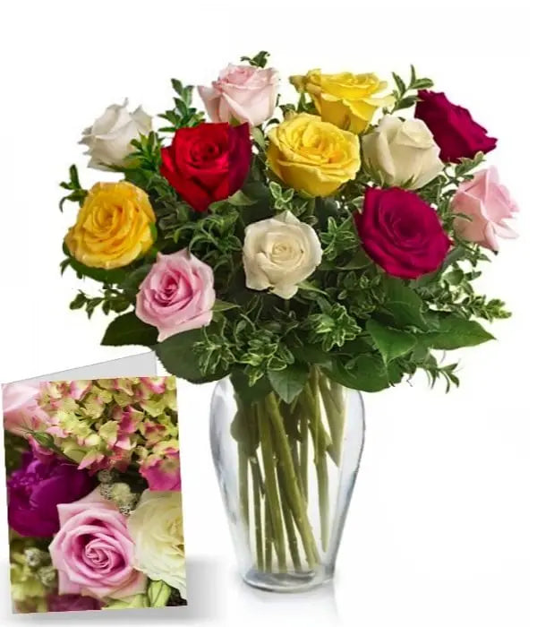 Buy a One Dozen Assorted Long Stem Roses Bouquet Online – florist.ca