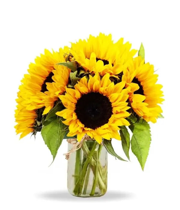 Buy a Simply Sunflowers in Mason Jar Bouquet Online – florist.ca