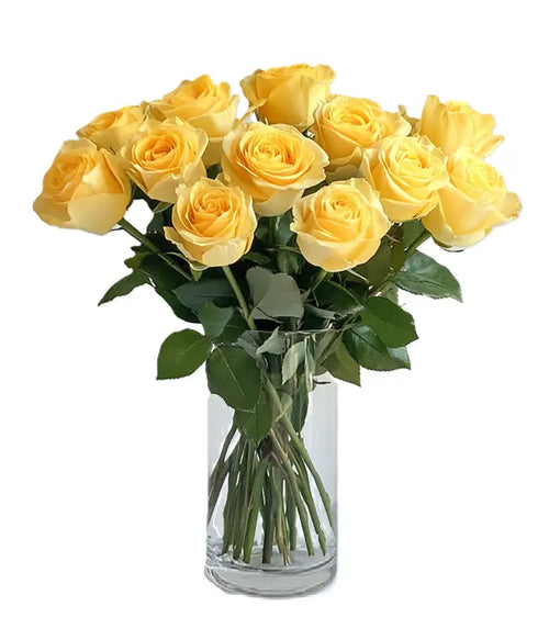 Dozen Roses | 12 Roses | Florist.ca